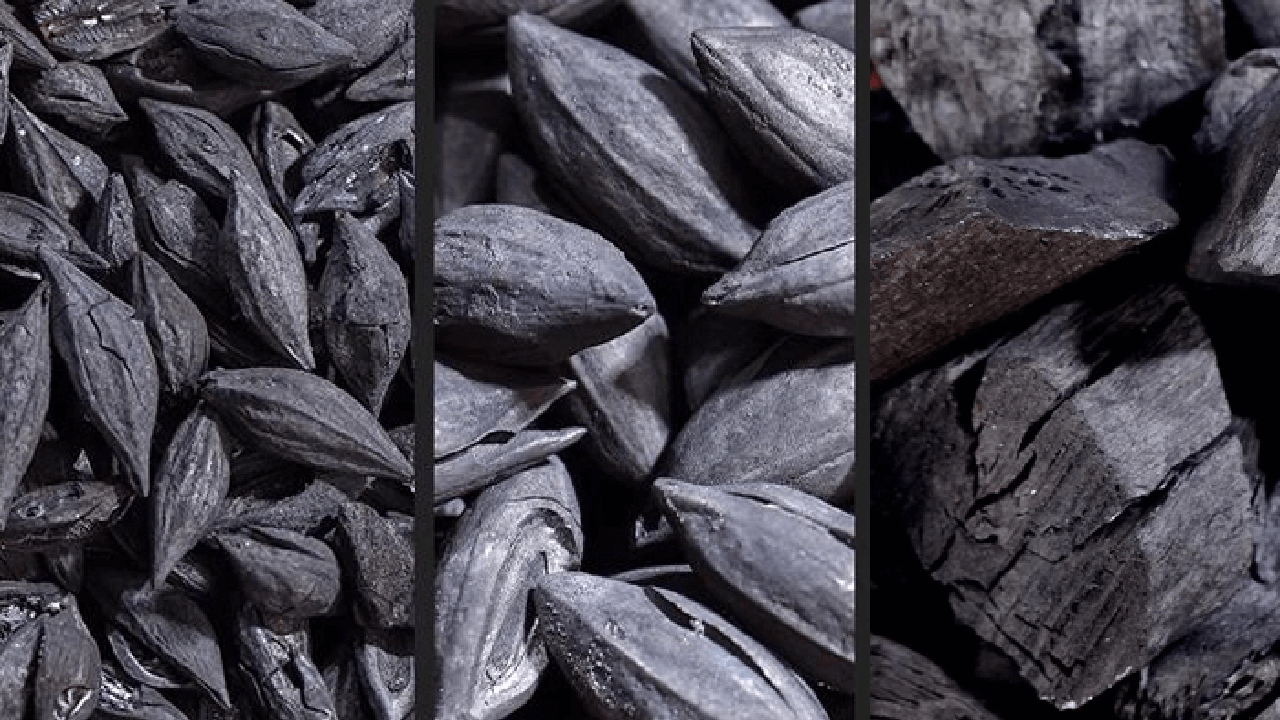 Arigna’s Biochar Innovation with Olive Pits - BiocharDaily