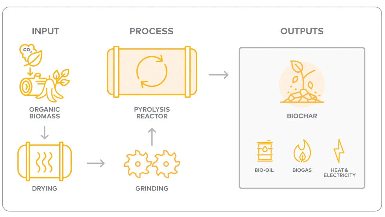 What is Biochar? - BiocharDaily