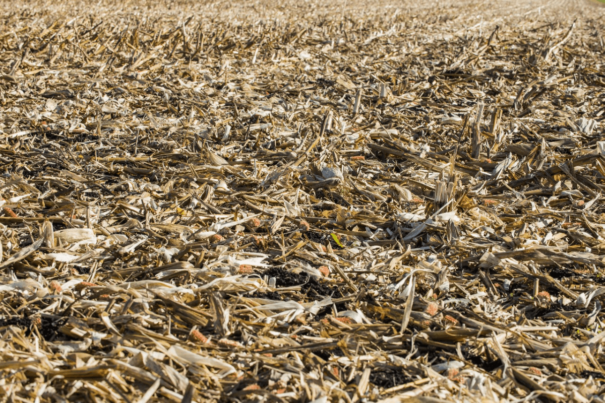 Transforming Crop Waste into Biochar for Sustainability - BiocharDaily